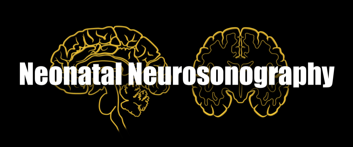 Neonatal Neurosonography – Sonographic Tendencies