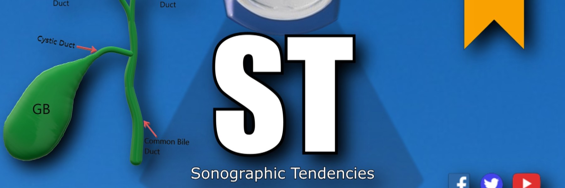 gallbladder – Sonographic Tendencies