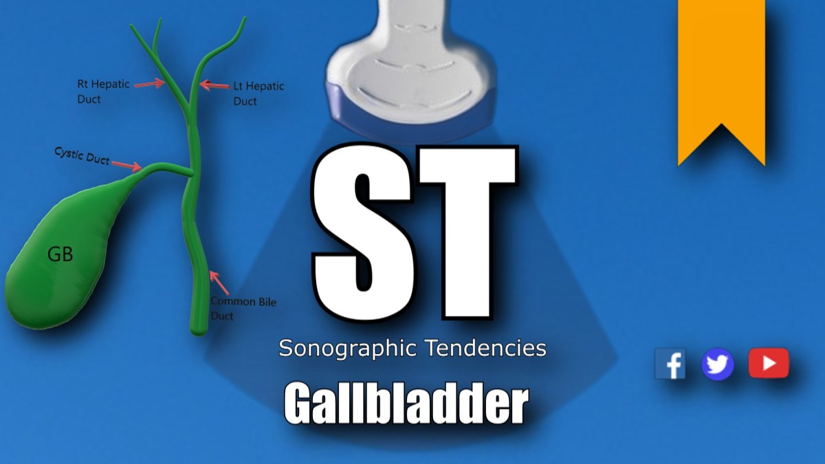 Gallbladder Infographic – Sonographic Tendencies
