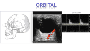 Transcranial Doppler – Sonographic Tendencies