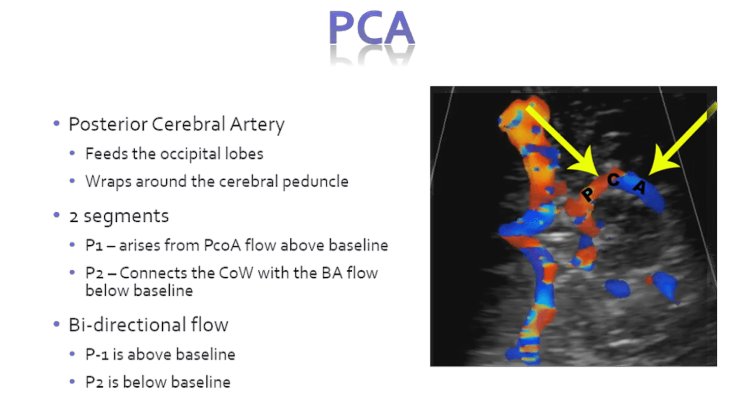 Transcranial Doppler – Sonographic Tendencies