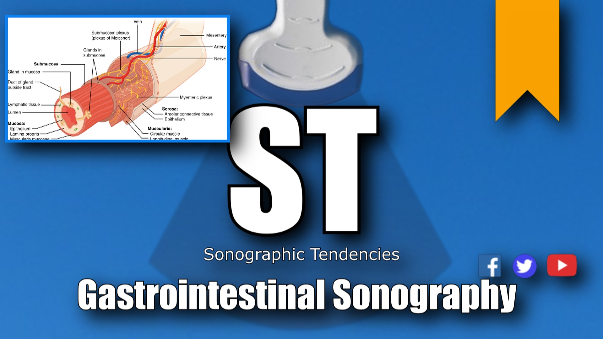 Gastrointestinal Sonography – Sonographic Tendencies
