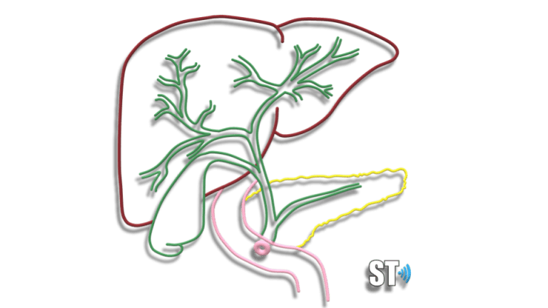 Gallbladder and Biliary Pathology – Sonographic Tendencies