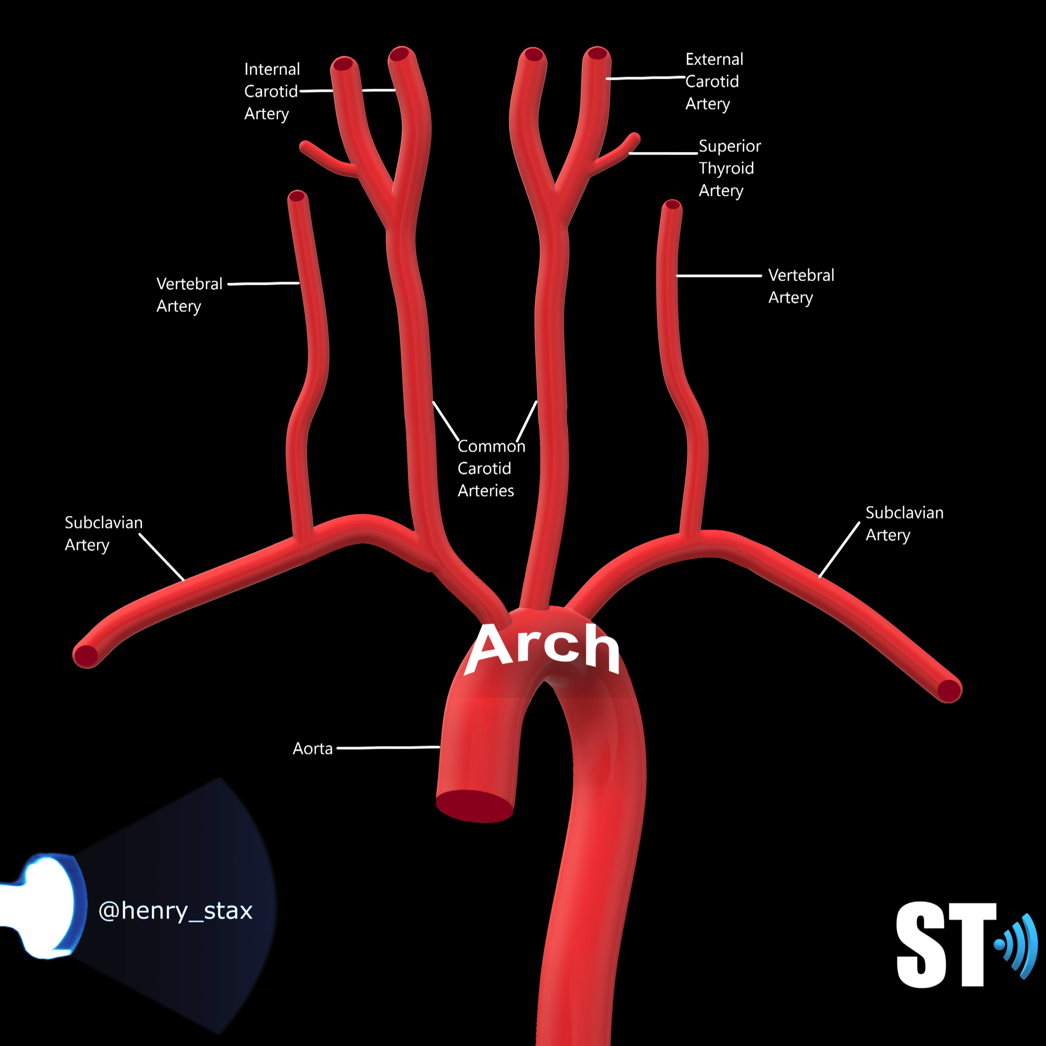 Transcranial Doppler – Sonographic Tendencies