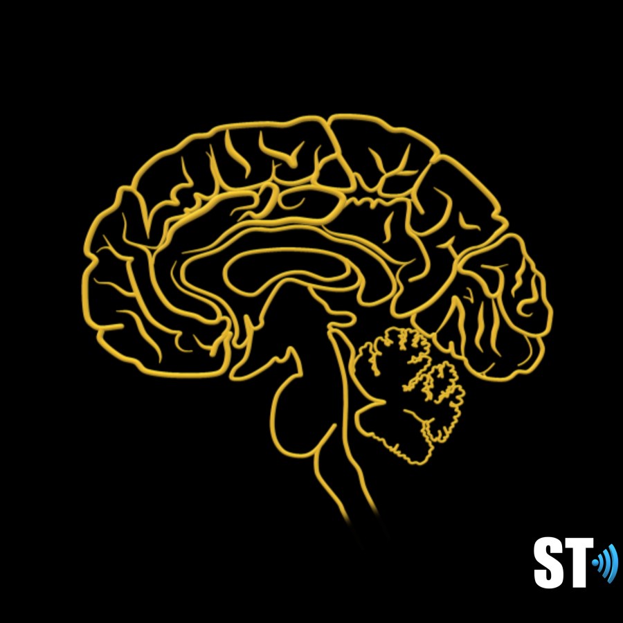 Neonatal Neurosonography – Sonographic Tendencies