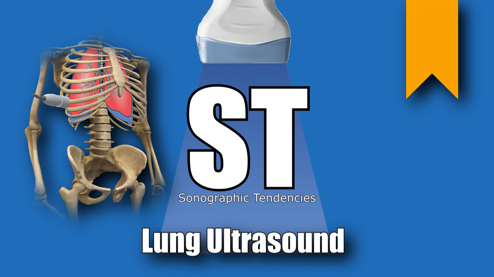Chest – Sonographic Tendencies