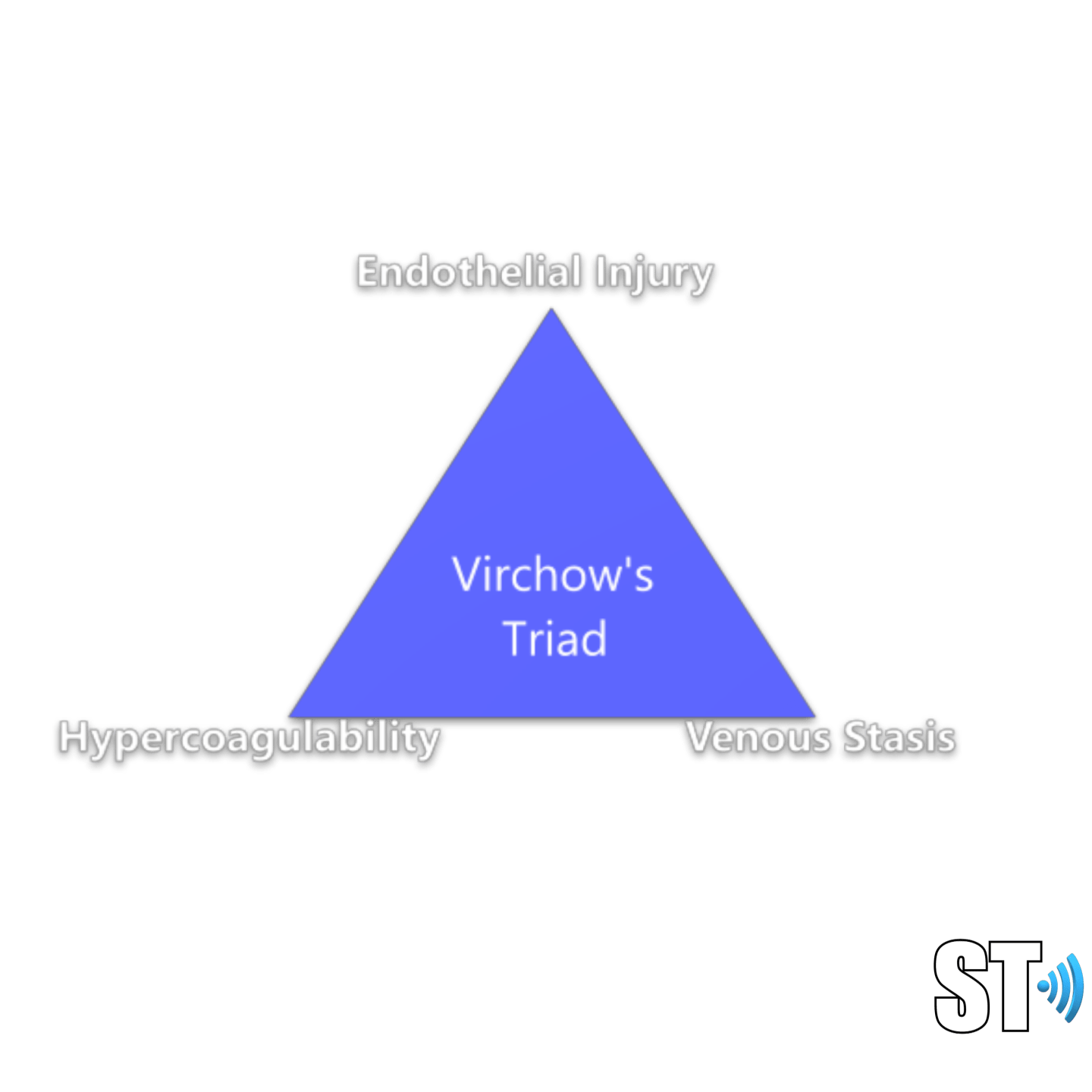 Lower Extremity Venous Duplex Protocol – Sonographic Tendencies