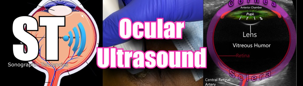 Ocular Ultrasound – Sonographic Tendencies